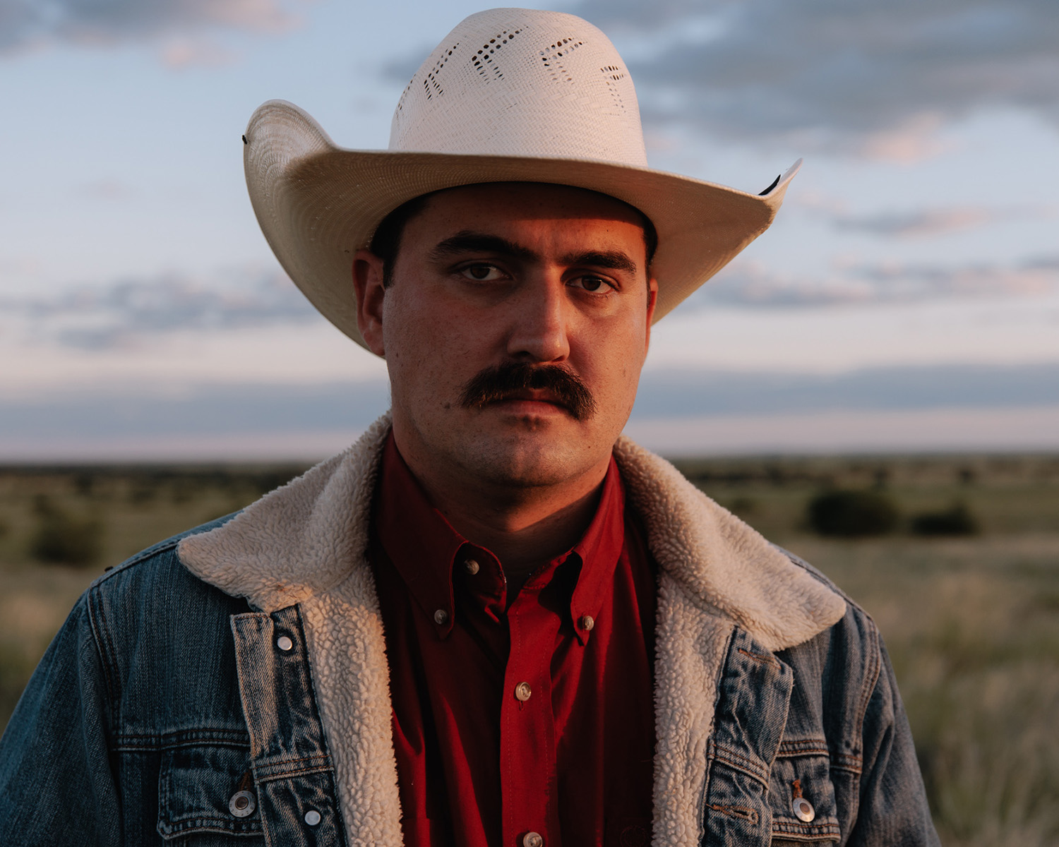 Line Up - Strummingbird